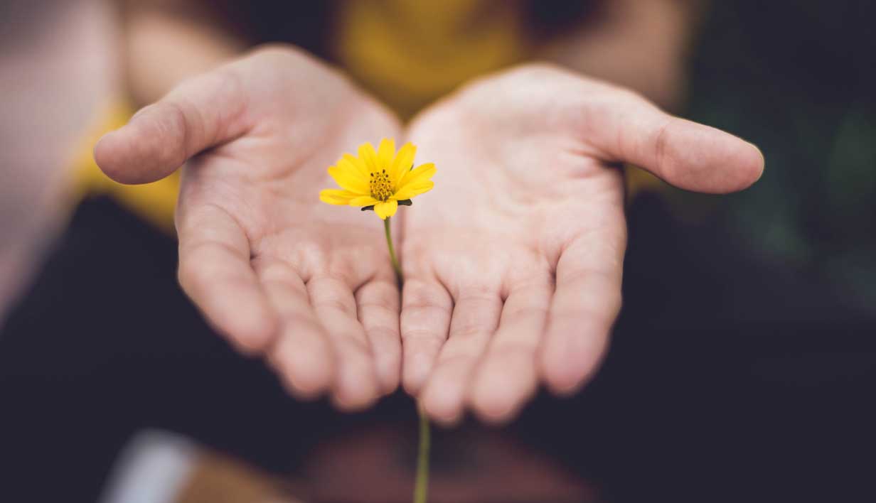 10 Bible Verses Every New Christian Should Know | Ask About My Faith